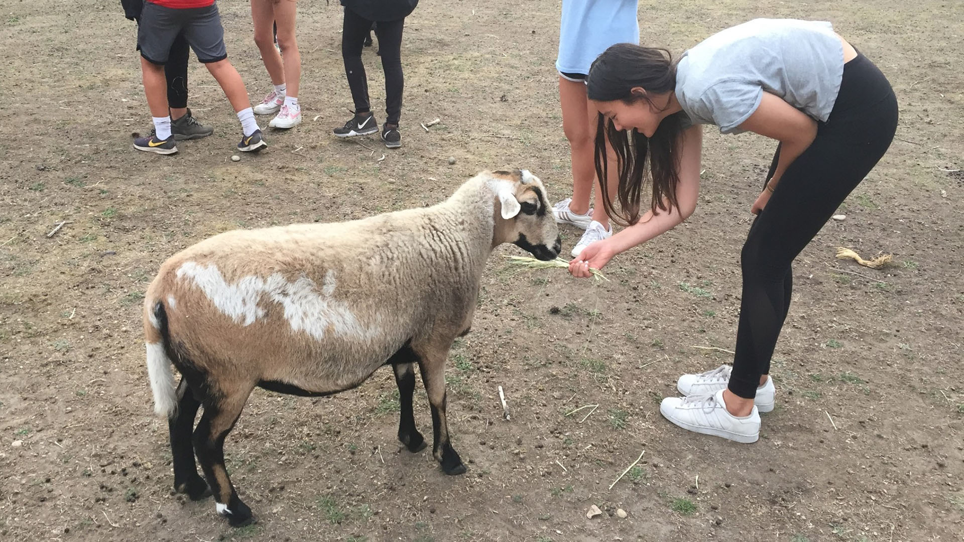 Fall Overnights | Eastside Preparatory School